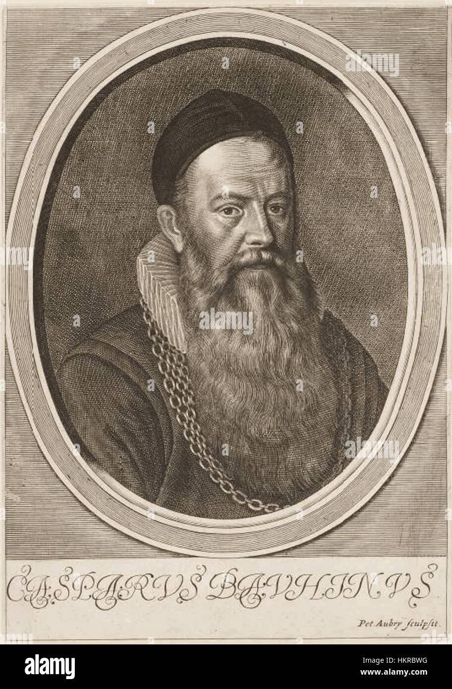 This portrait of Caspar Bauhin, a prominent Swiss botanist, was created ...