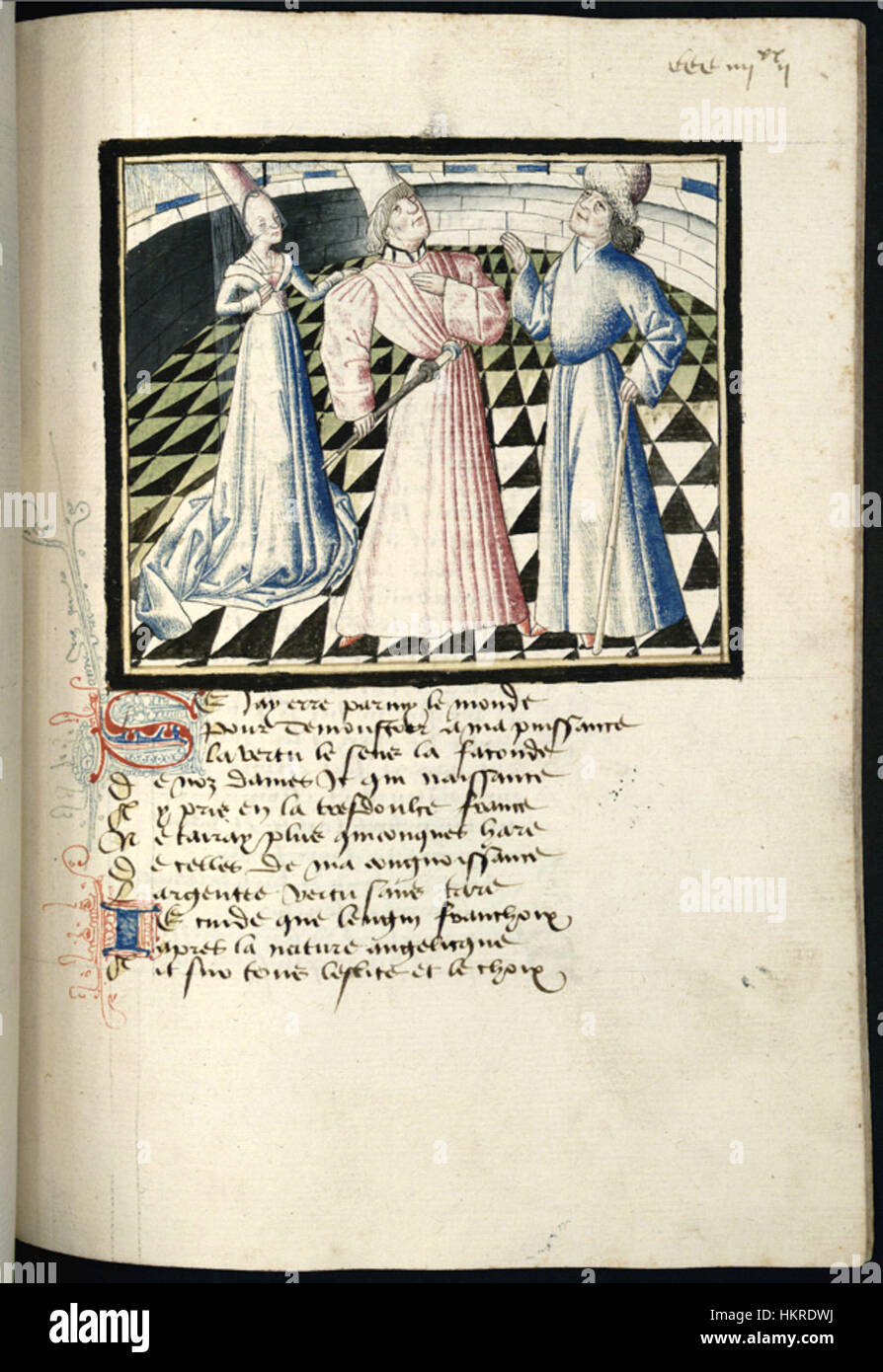 'Champion Des Dames' from Grenoble is a fine example of medieval ...