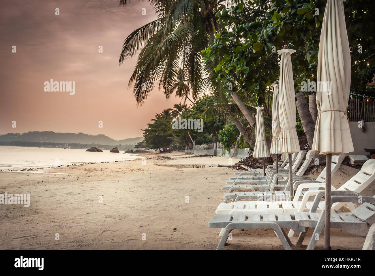 Deserted tropical beach with sunbeds and umbrellas among palm trees ...