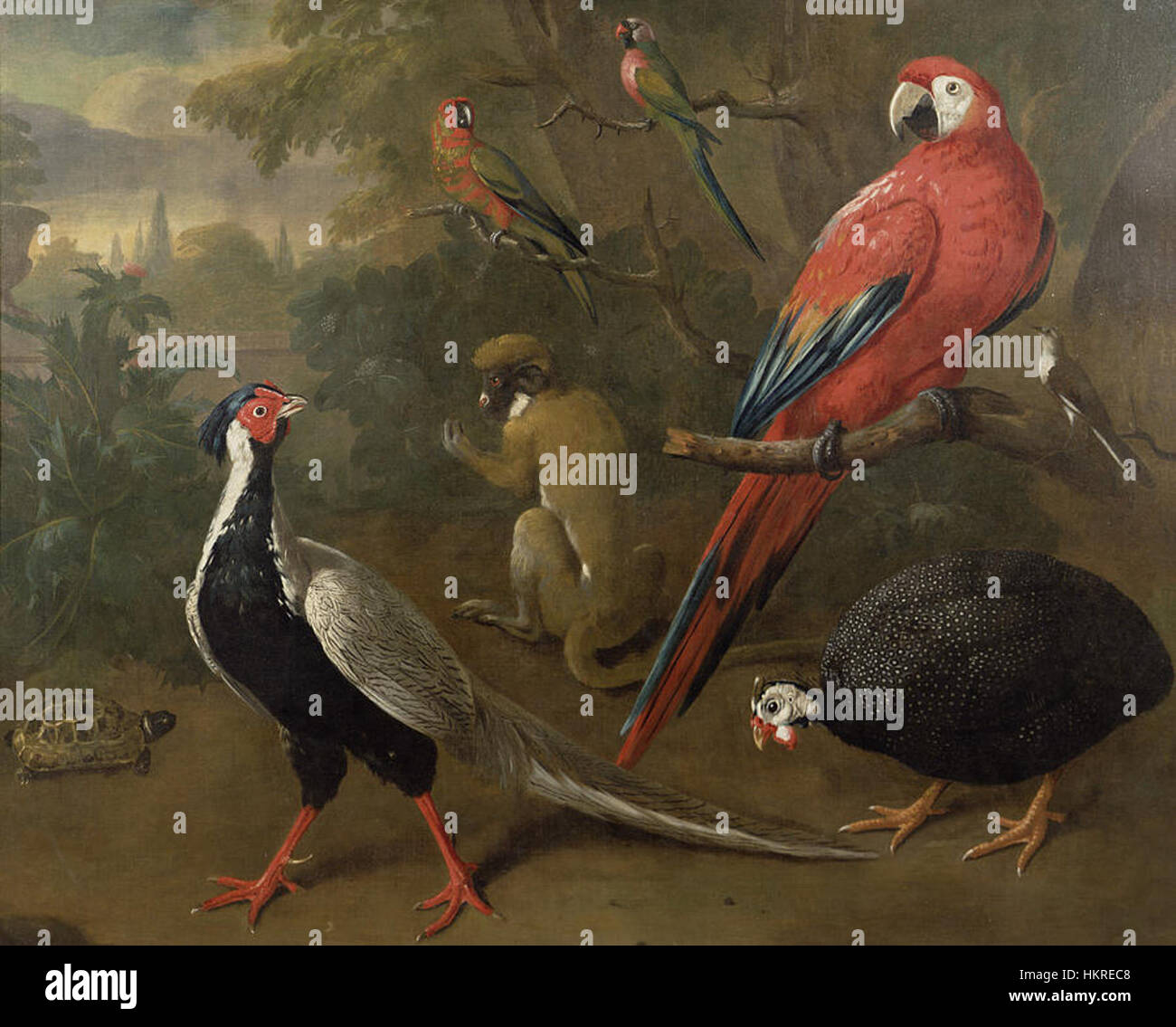 Charles Collins' painting 'Pheasant, Macaw-Monkey, Parrots and Tortoise ...