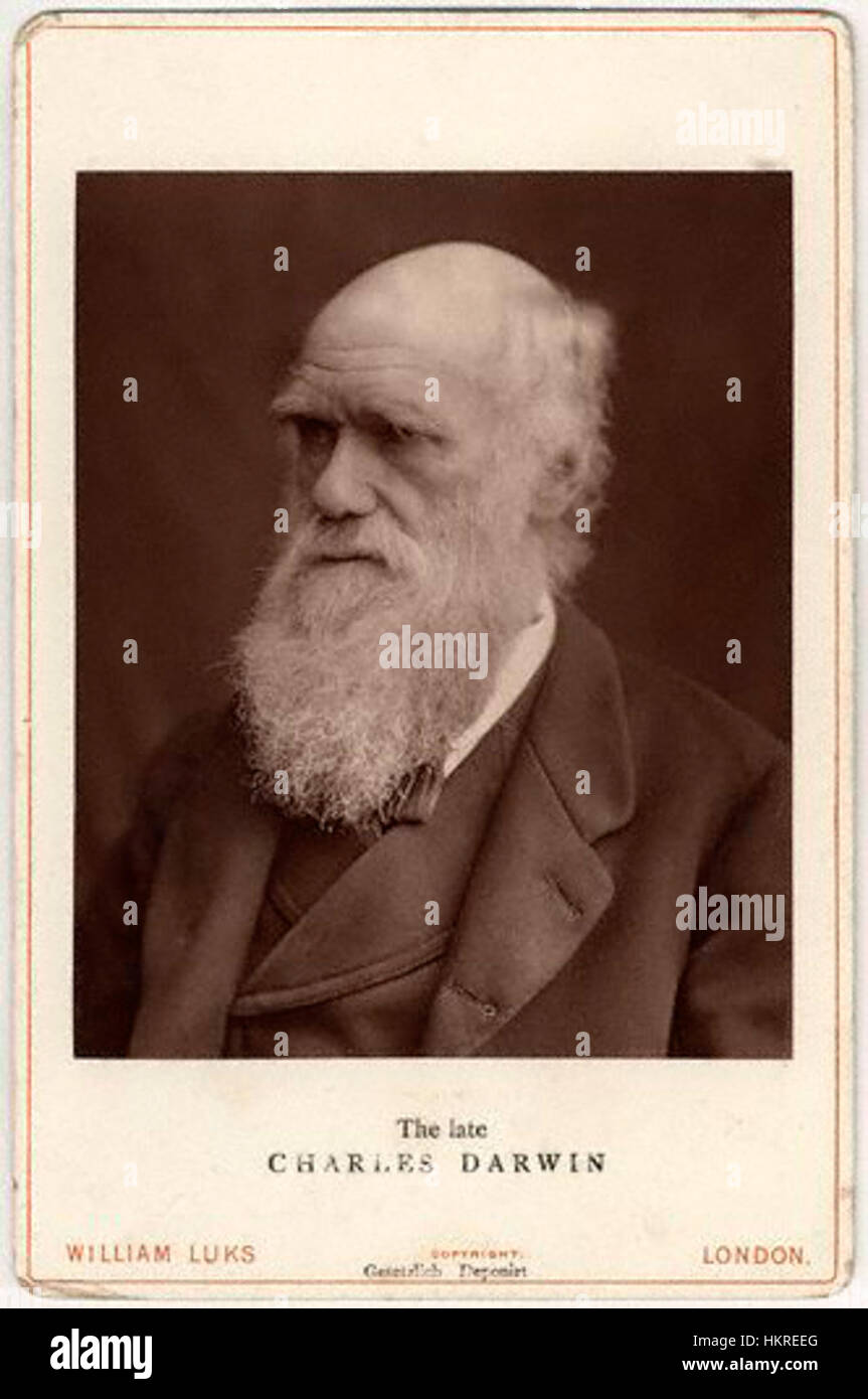 Charles darwin photograph lock whitfield hi-res stock photography and ...