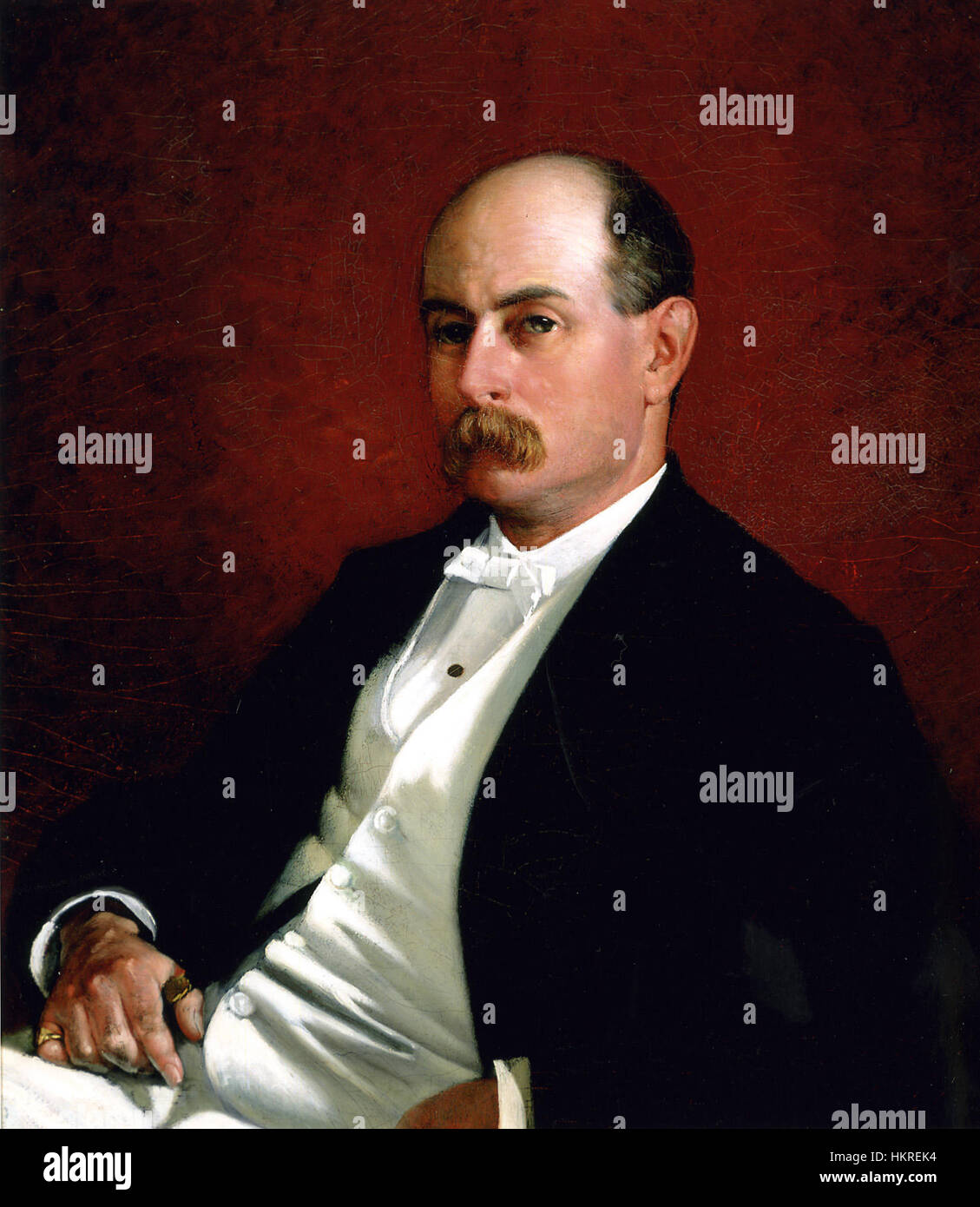 The portrait of Charles Francis Adams Jr., painted by Frank Millet ...