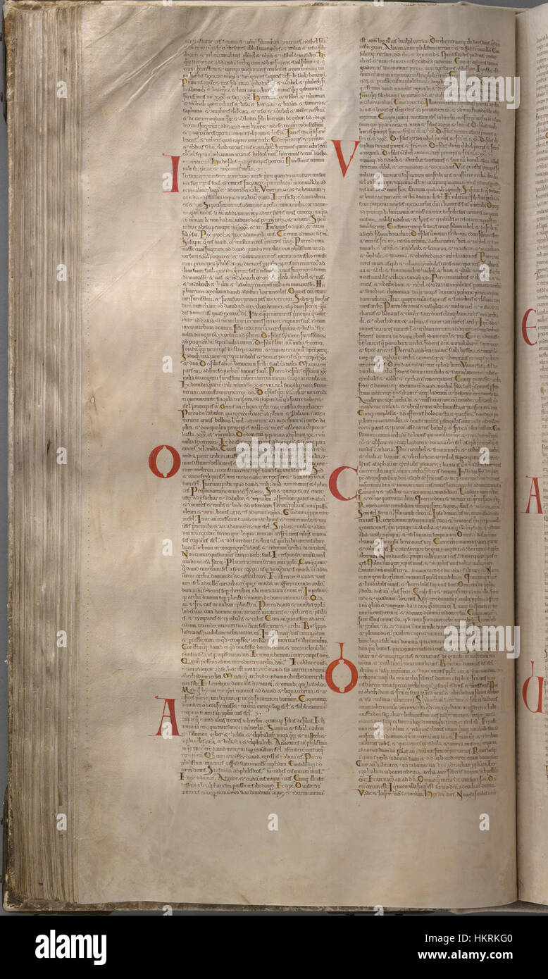 The Codex Gigas, also known as the 'Devil's Bible,' contains various ...