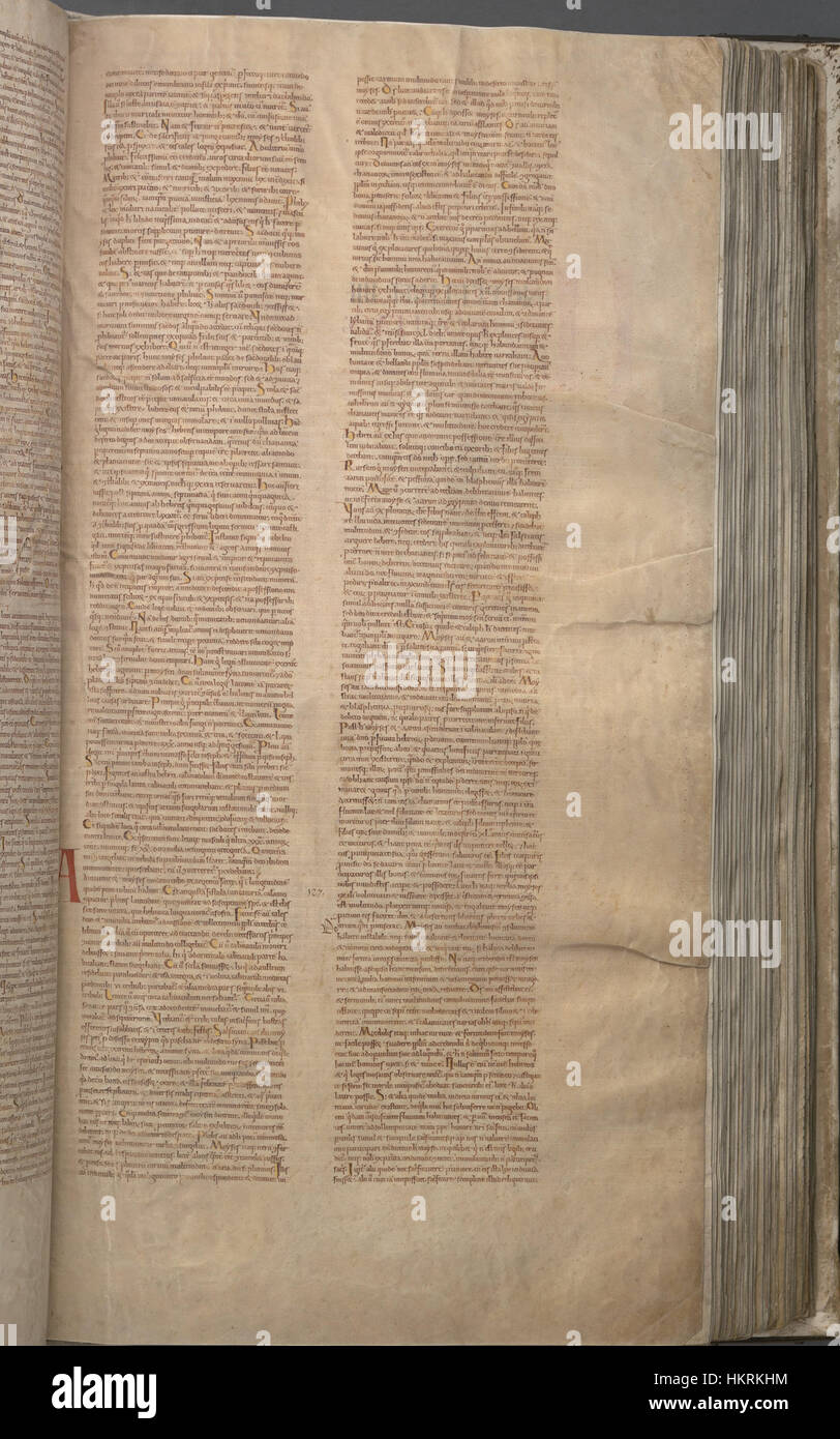 This image shows a page from the Codex Gigas, a medieval manuscript ...