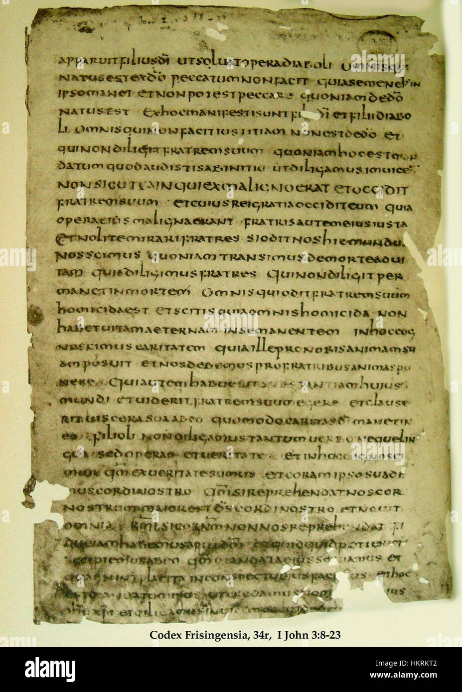 This image is from the *Codex Frisingensis*, a key manuscript from the ...