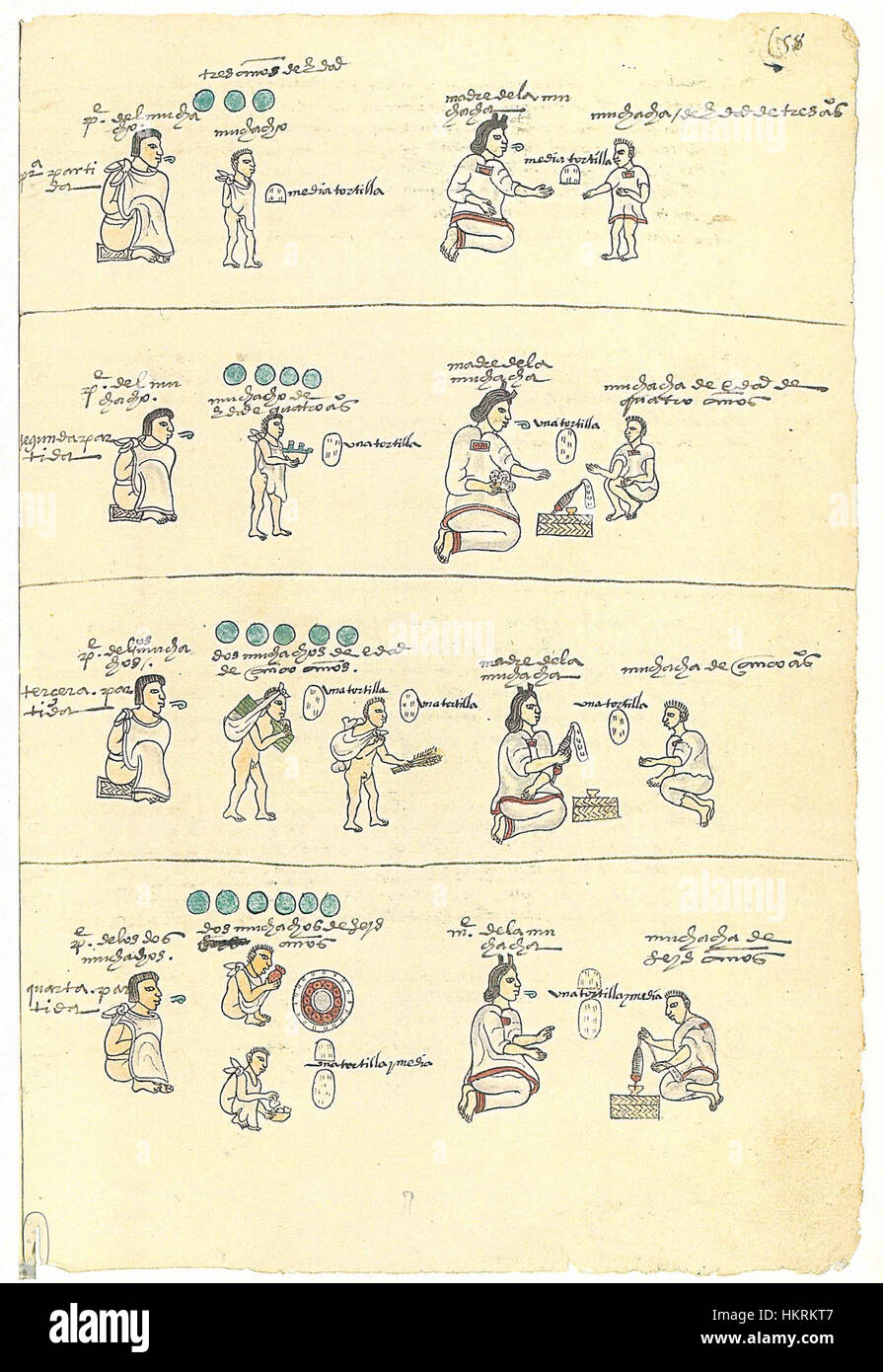 The Codex Mendoza is an important Aztec manuscript that provides ...