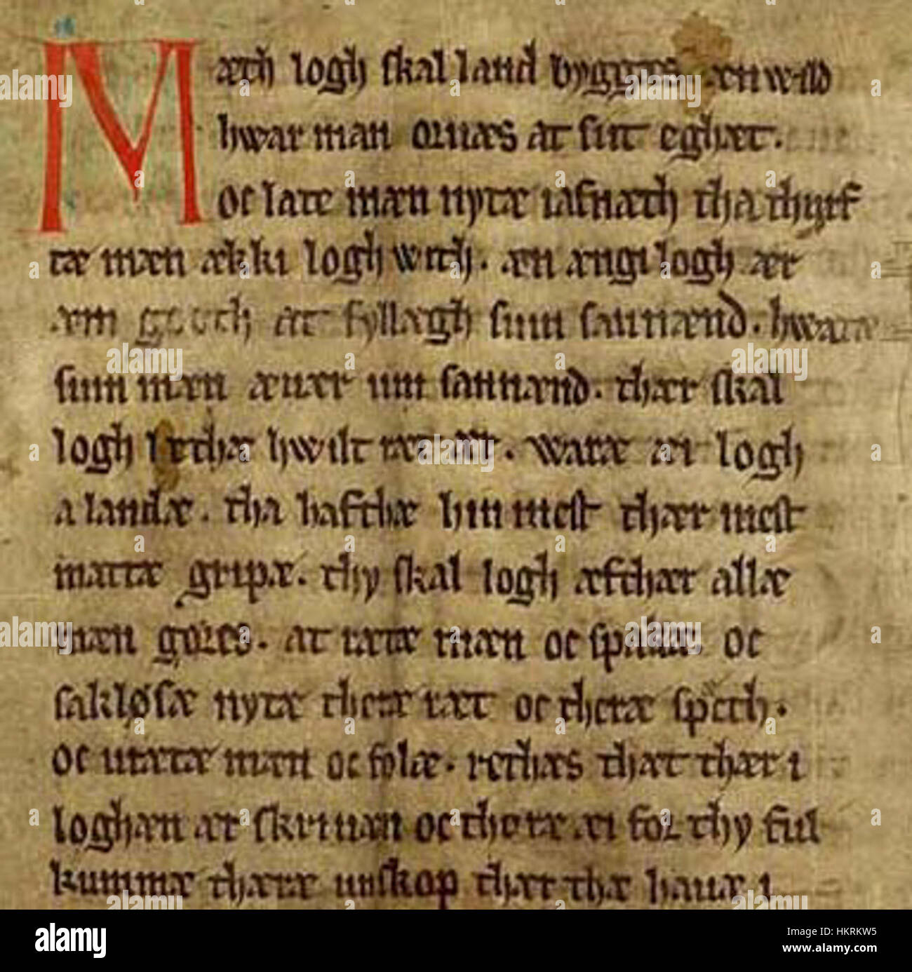 The Codex Holmiensis, dating back to 1350, is a medieval manuscript ...