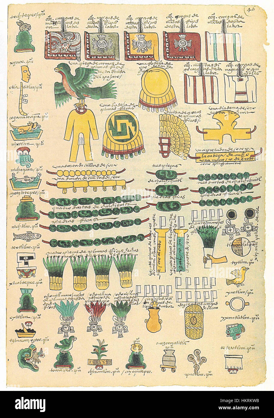 Mendoza Codex High Resolution Stock Photography and Images - Alamy