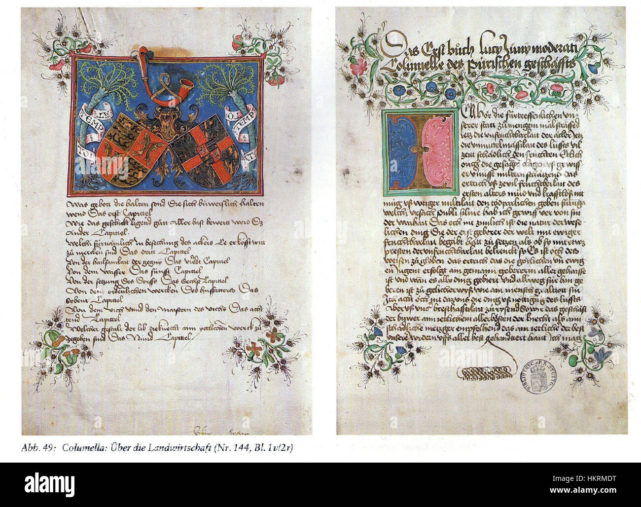 A detailed painting of Columella, a prominent Roman author and ...