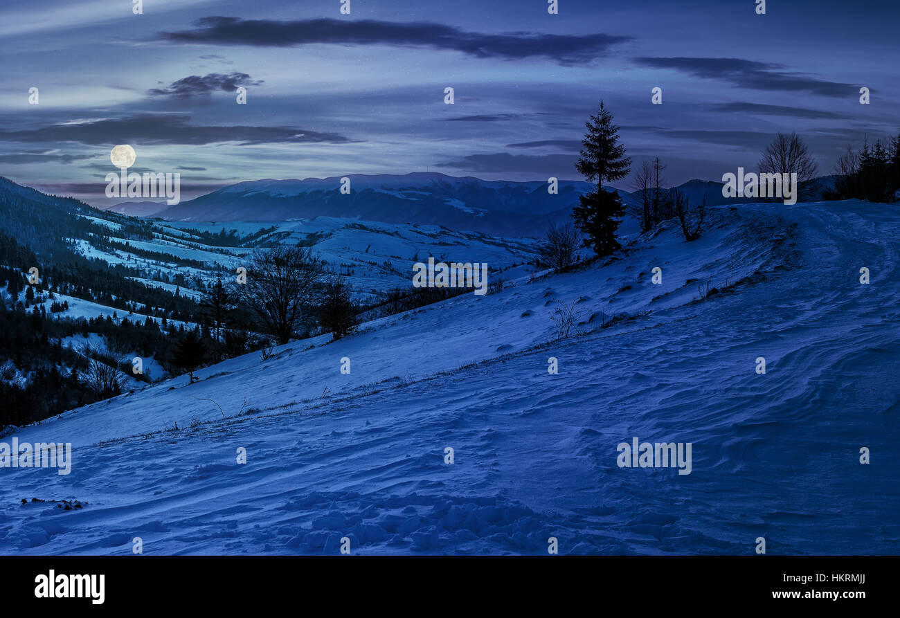 Dark night tree full moon hi-res stock photography and images - Alamy