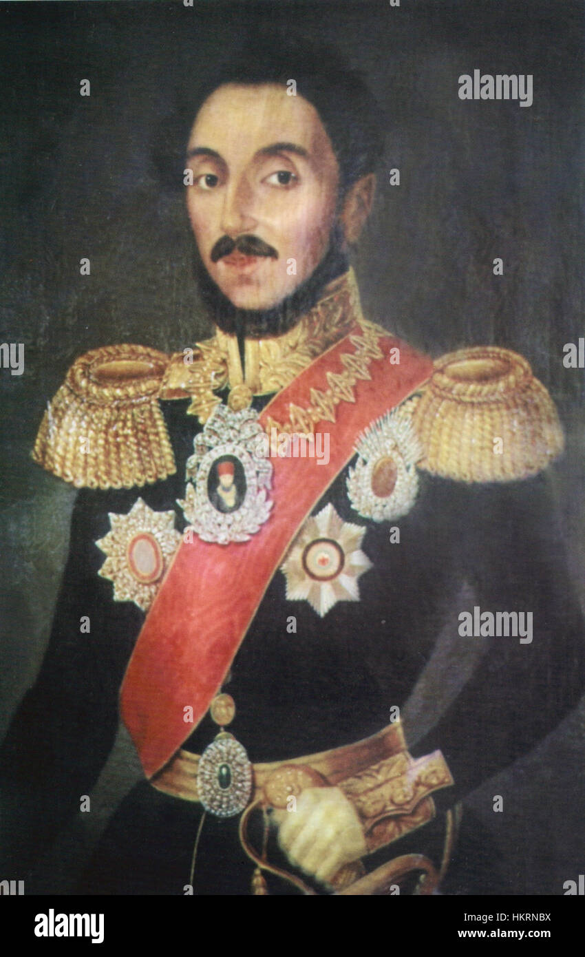 A portrait of Barbu Stirbei, the ruler of Wallachia, painted by ...