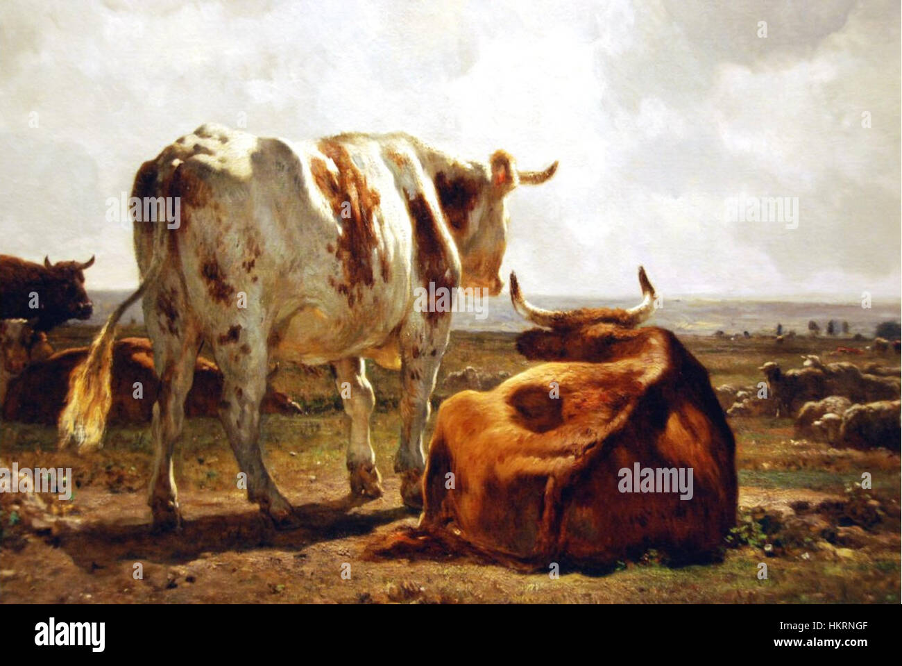 Troyon painting hi-res stock photography and images - Alamy