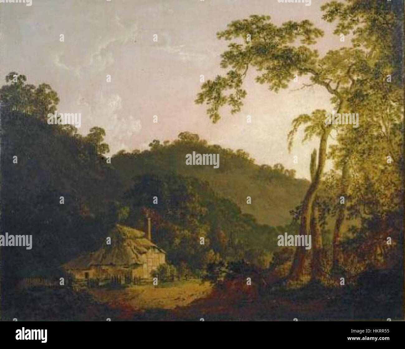 Needwood forest hi-res stock photography and images - Alamy