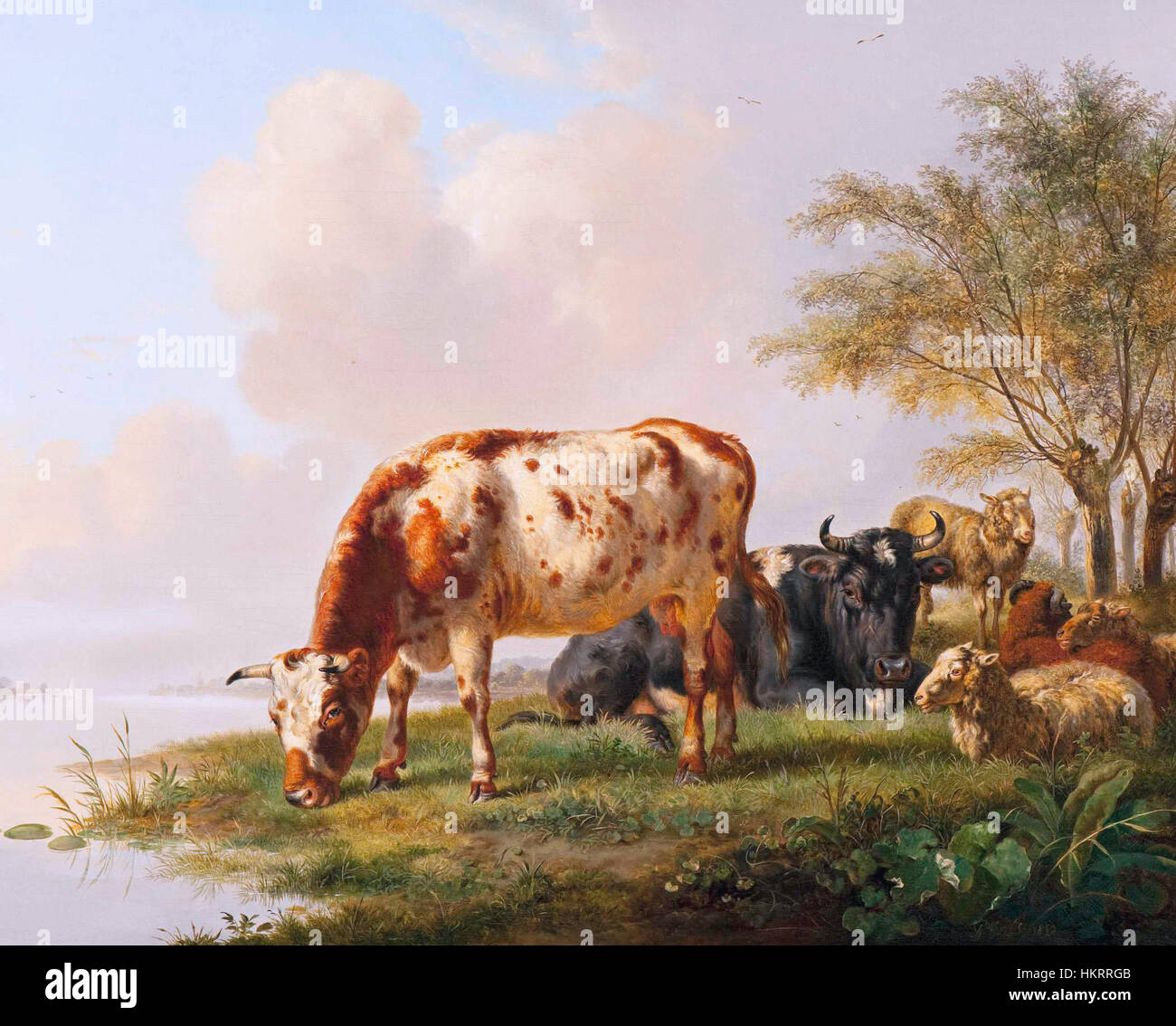 Tranquil landscape featuring livestock hi-res stock photography and ...