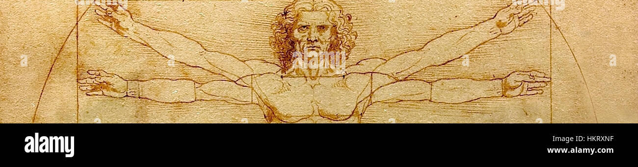 The Da Vinci Banner is a historic reproduction of a Renaissance-era ...