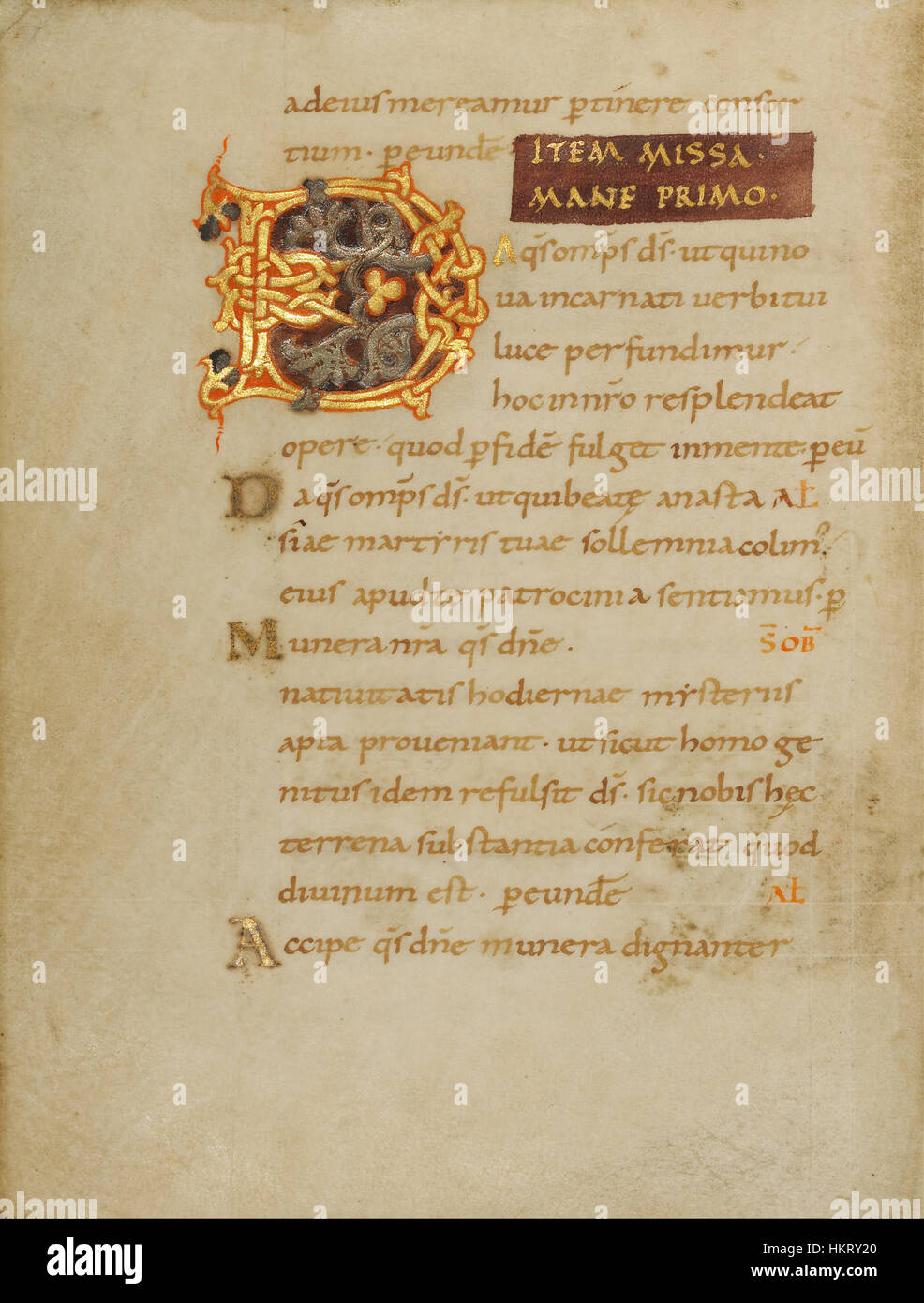 'Decorated Initial D' is an intricate manuscript illumination from the ...