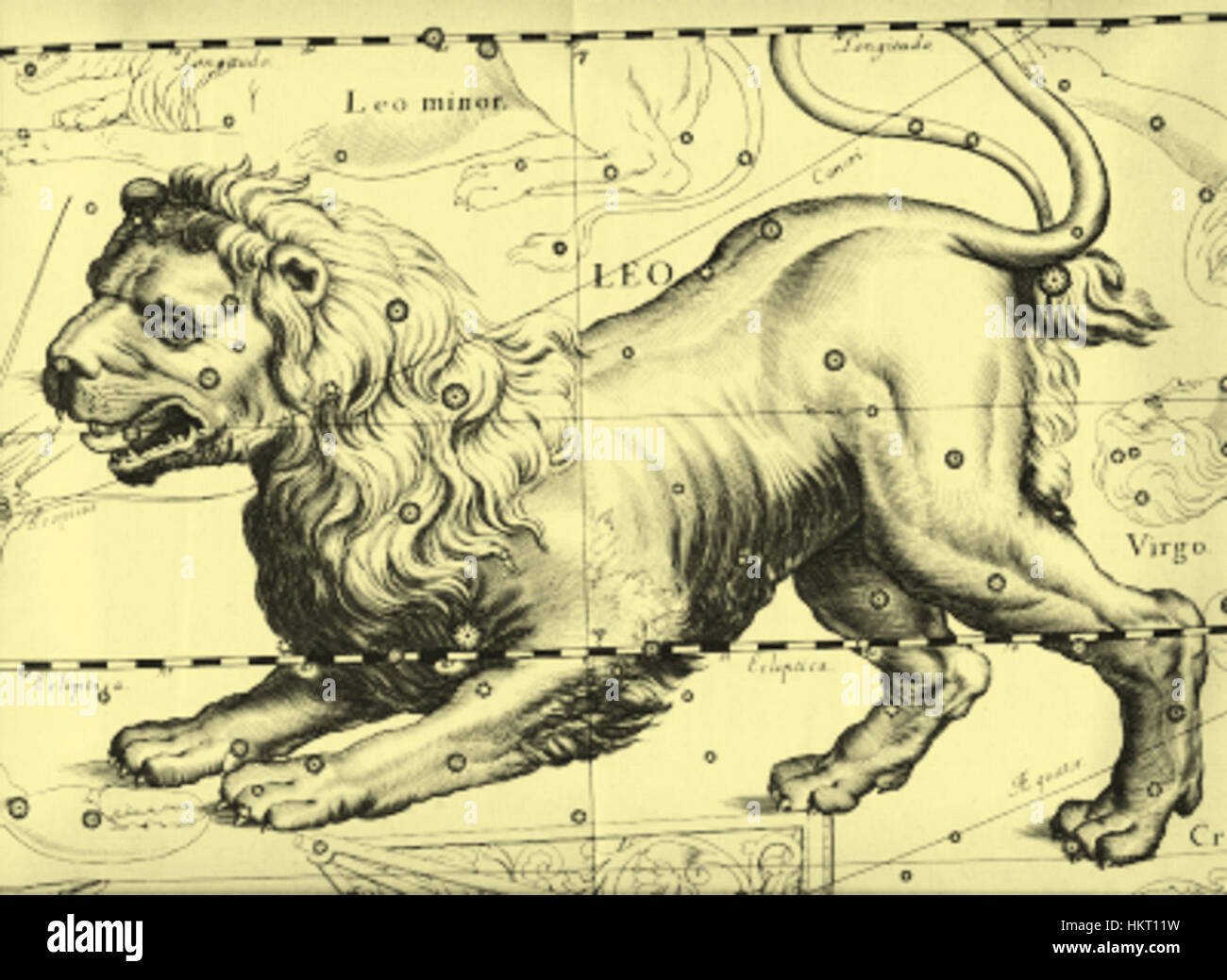 Intricate line work create hi-res stock photography and images - Alamy