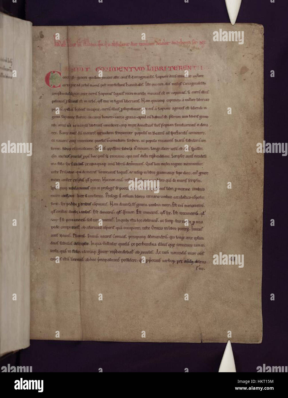 This illuminated manuscript from the Bodleian Libraries features the ...