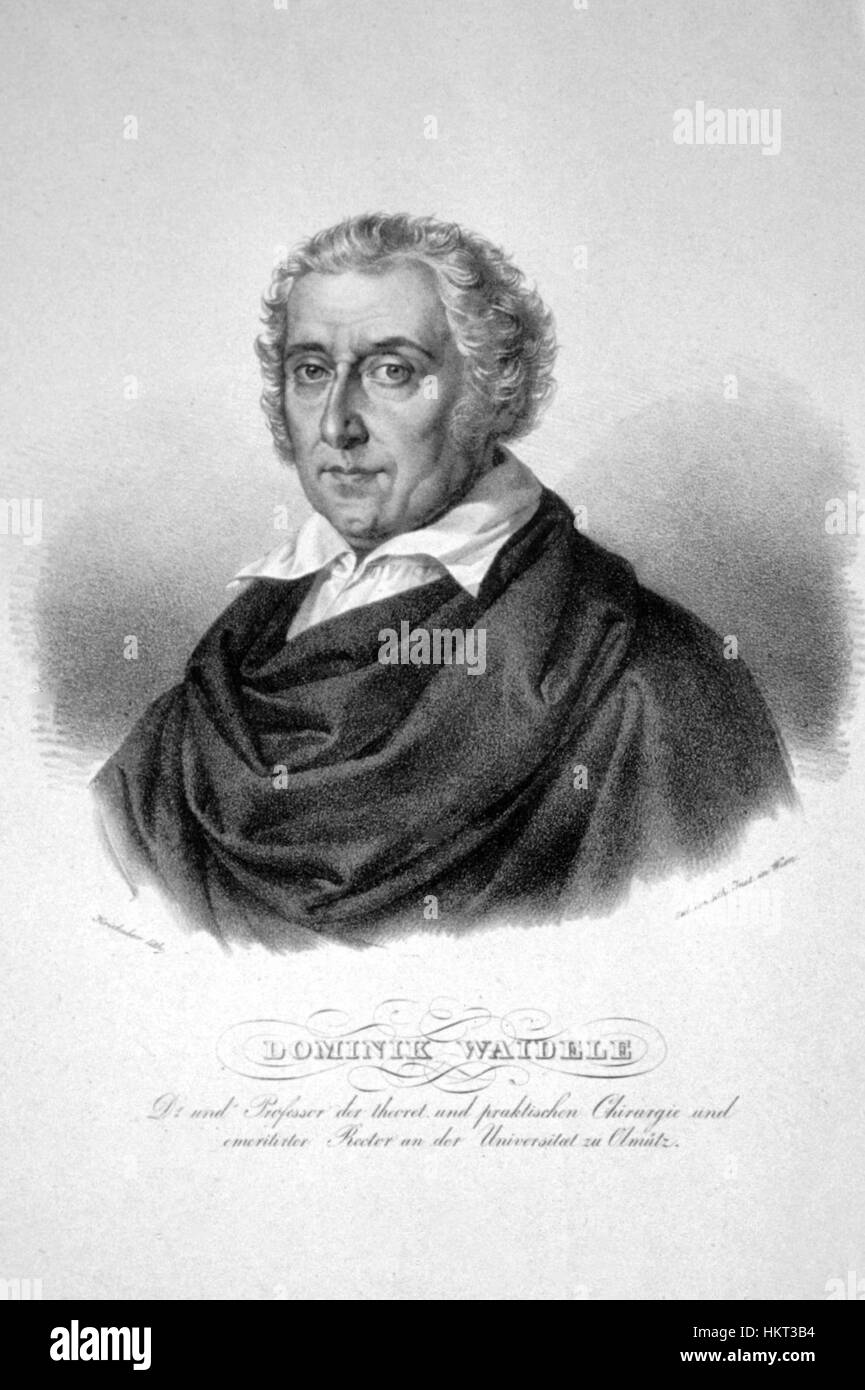 Dominik Waidele’s lithograph is a remarkable work of art, showcasing ...