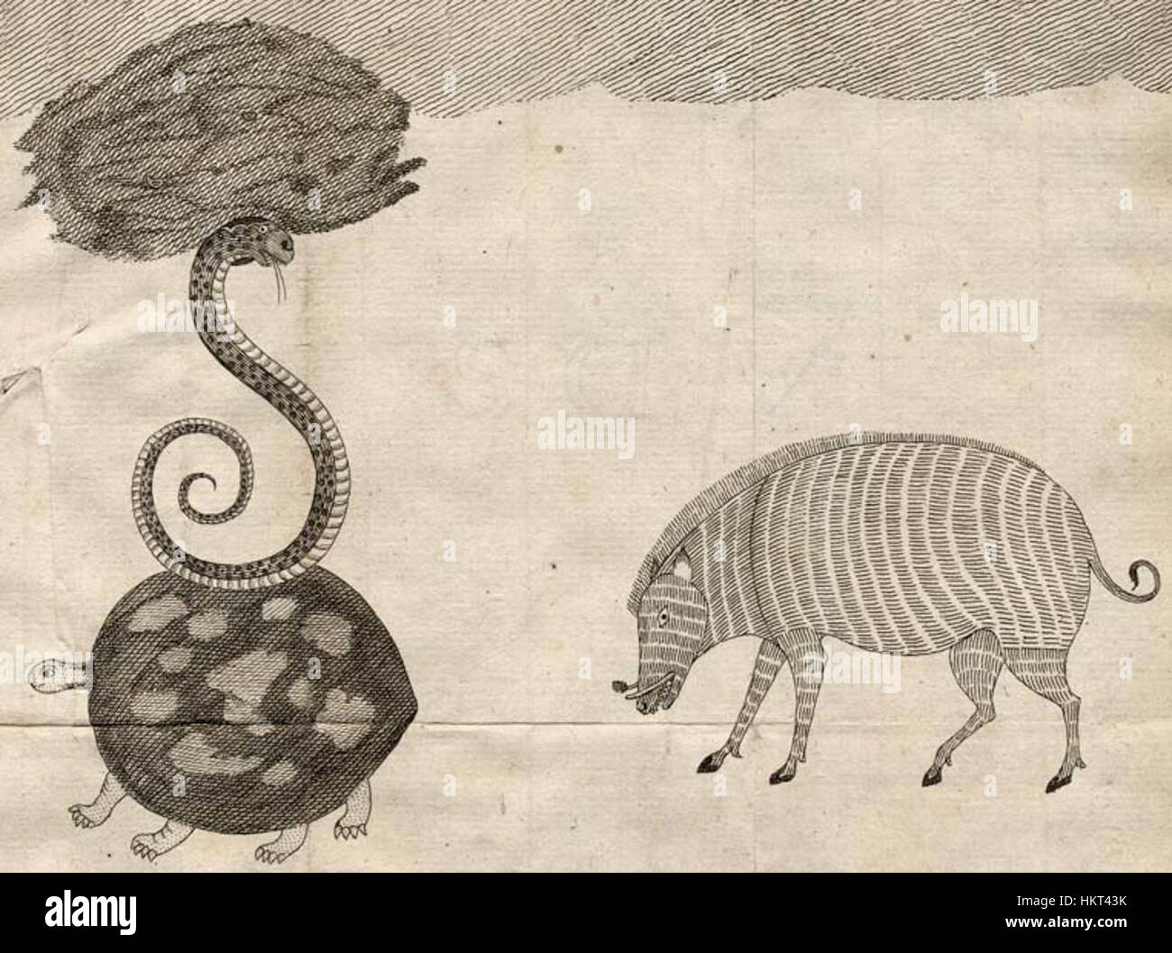 A historical drawing from the 1700s, depicting a scene of everyday life ...