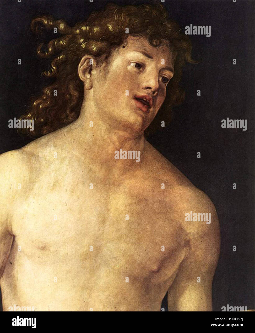 *Adamo ed Eva* by Albrecht Dürer is a detailed engraving from the early ...
