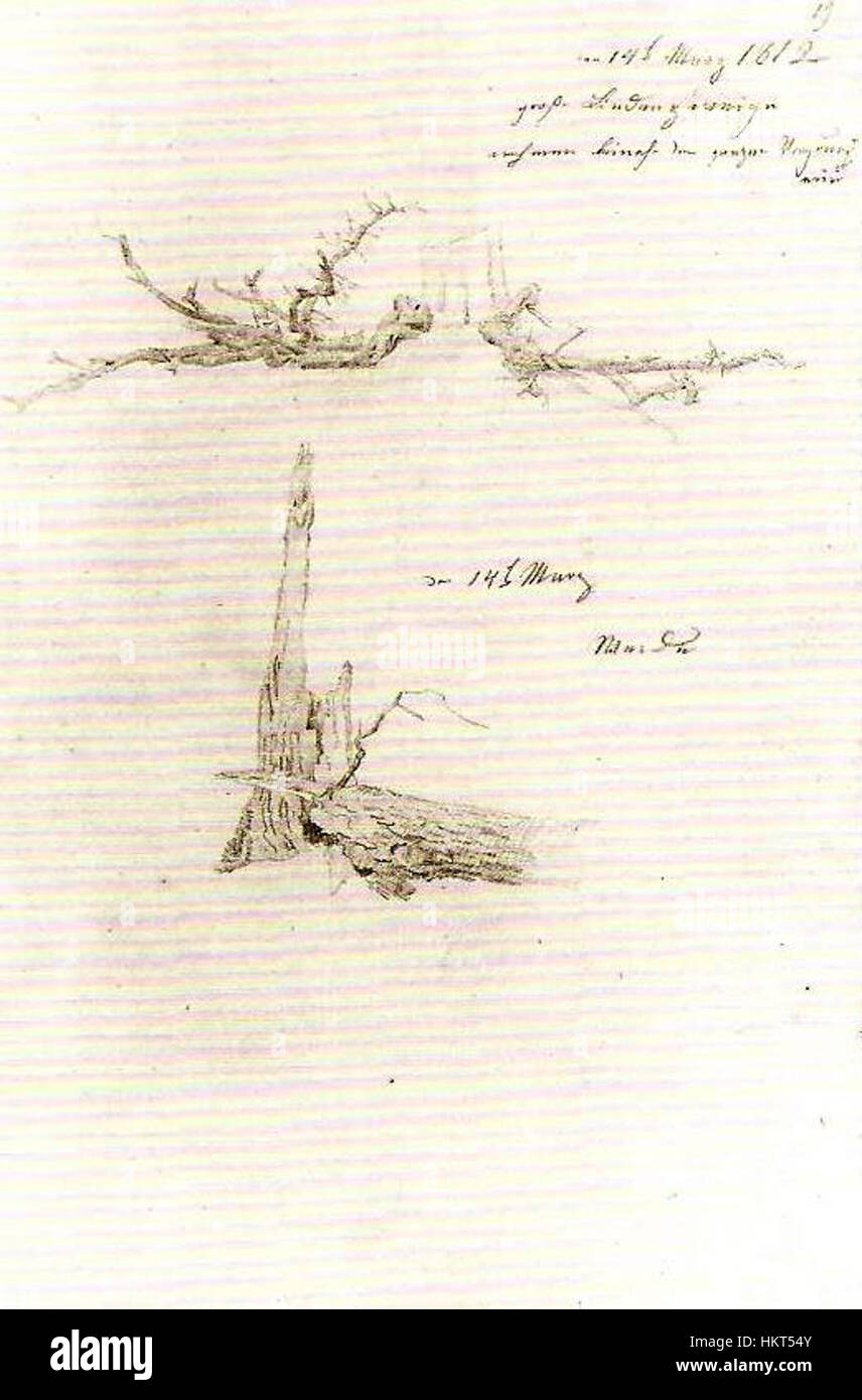 Alte Weide, a painting that depicts a historic tree known for its age ...