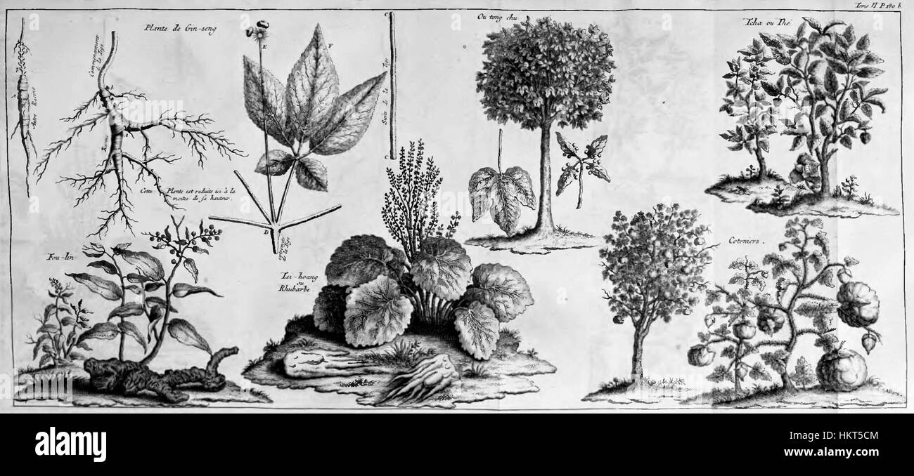 Du Halde - Description de la Chine - Vol 2 feuille 229 Stock Photo - Alamy