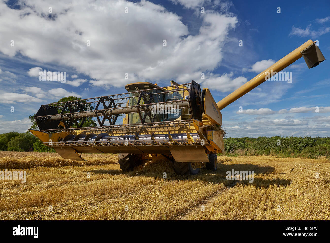 Combine Harvester Harvesting Feed Barley UK Stock Photo - Alamy