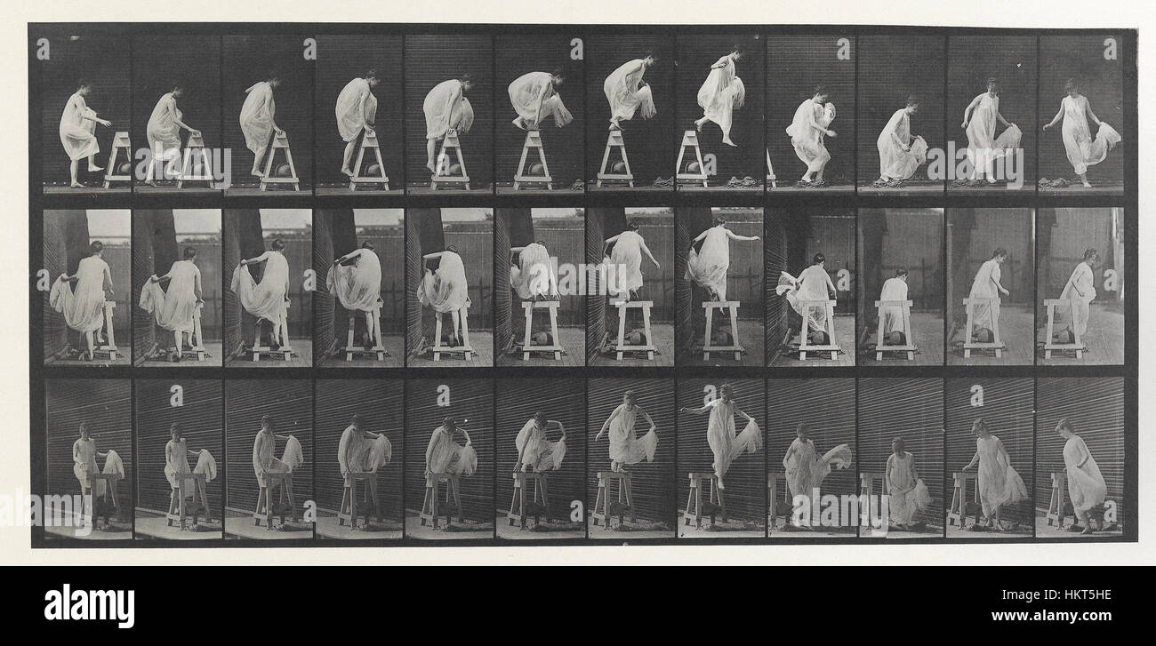 Eadweard Muybridge's 'Animal Locomotion Plate 172' captures sequential ...