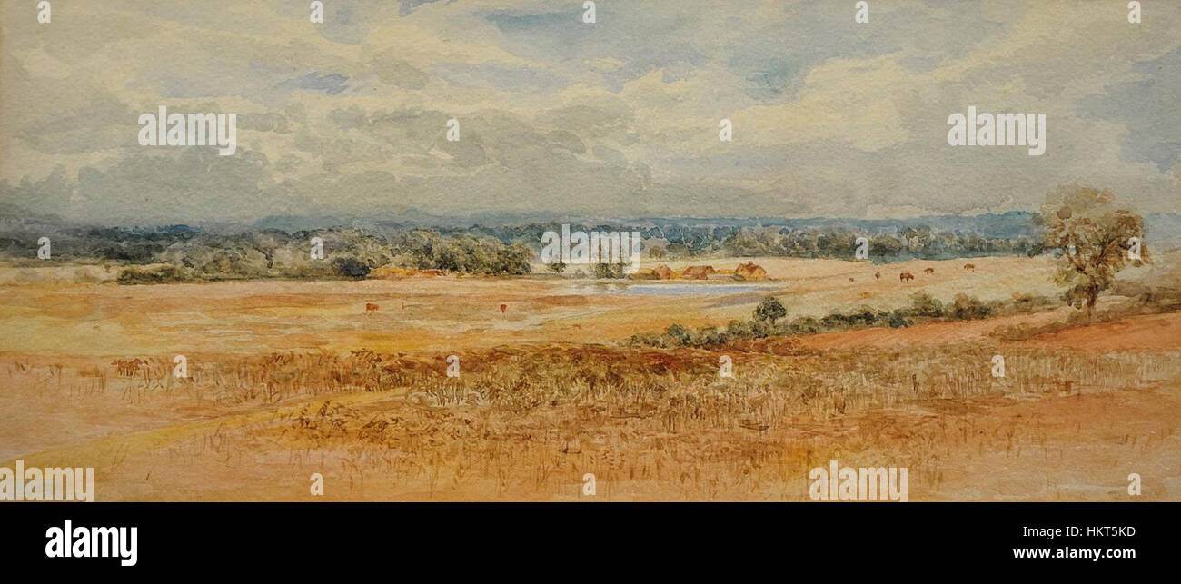 Redhill common hi-res stock photography and images - Alamy