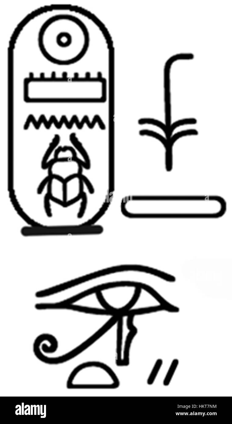 This Egyptian scarab, bearing the cartouche of Thutmosis III, dates ...