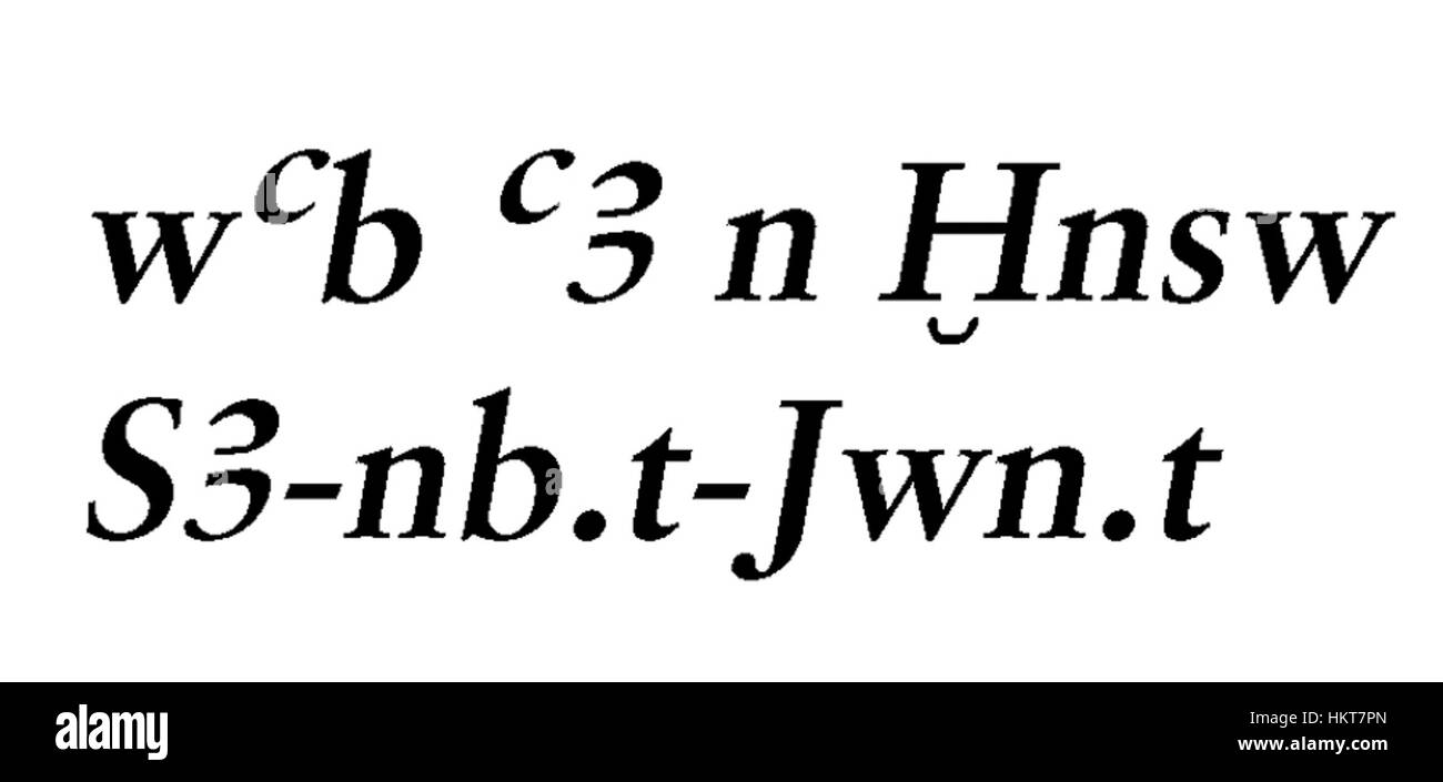 Egyptian - Scarab with Name of Sa-nebet-Junet - Walters 4218 ...