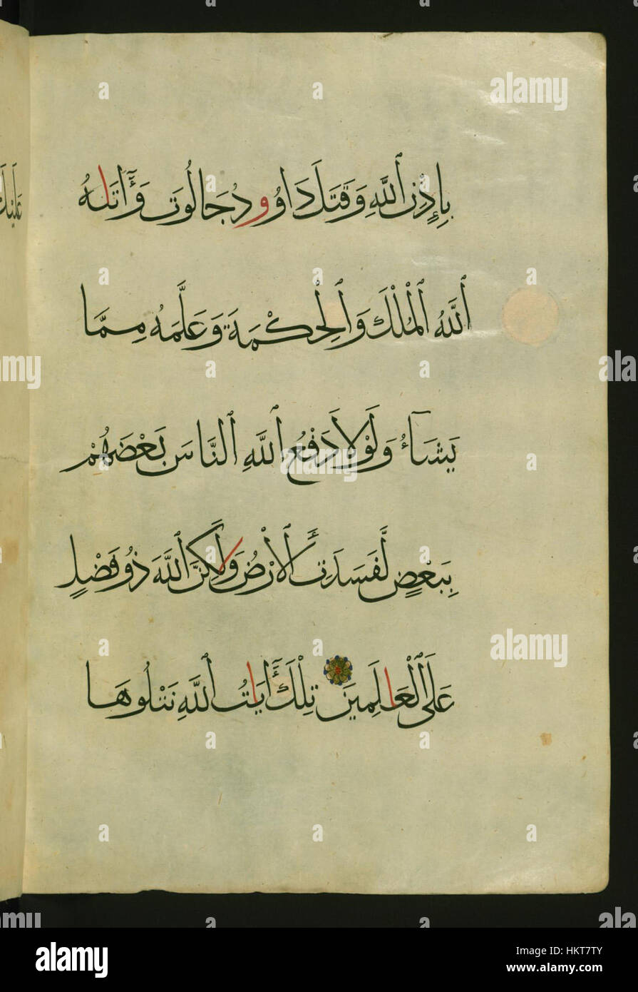 This Egyptian text page, cataloged as Walters W56149B, is a fragment of ...