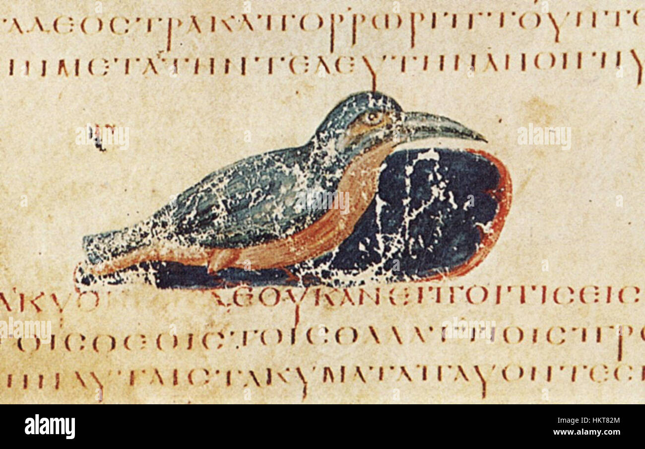This artwork, 'Eisvogel', comes from the Wiener Dioskurides manuscript ...