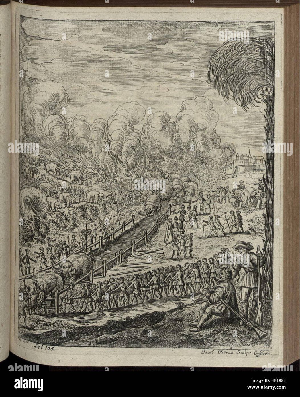 A historical artwork depicting elephants, created in the 16th century ...