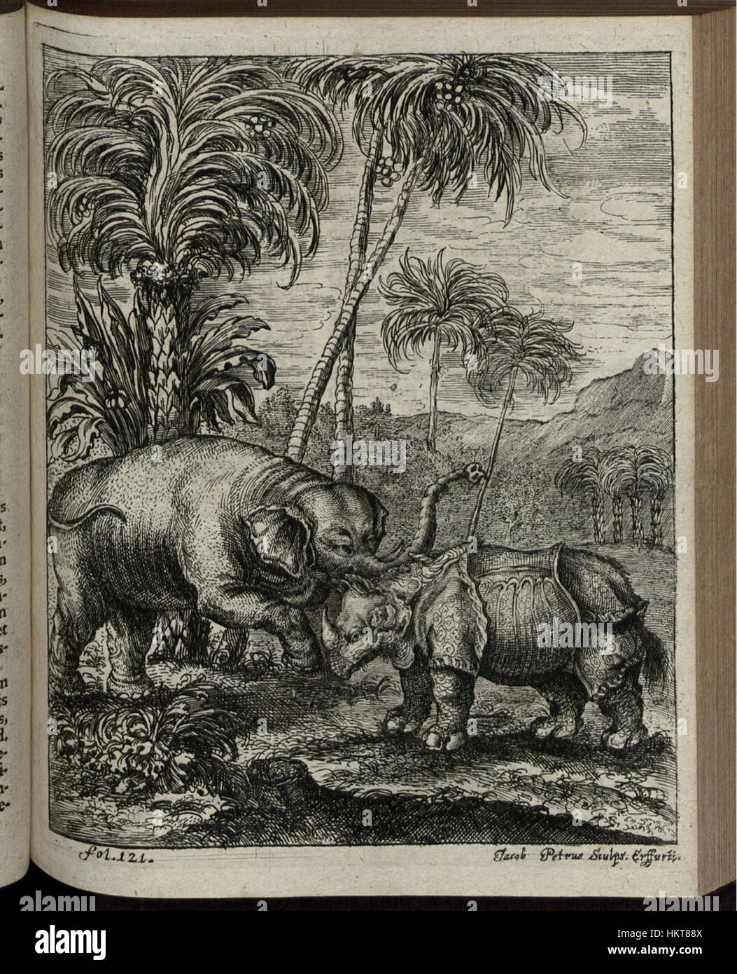 This 19th-century artwork, titled *Elephantographia Curiosa*, offers a ...