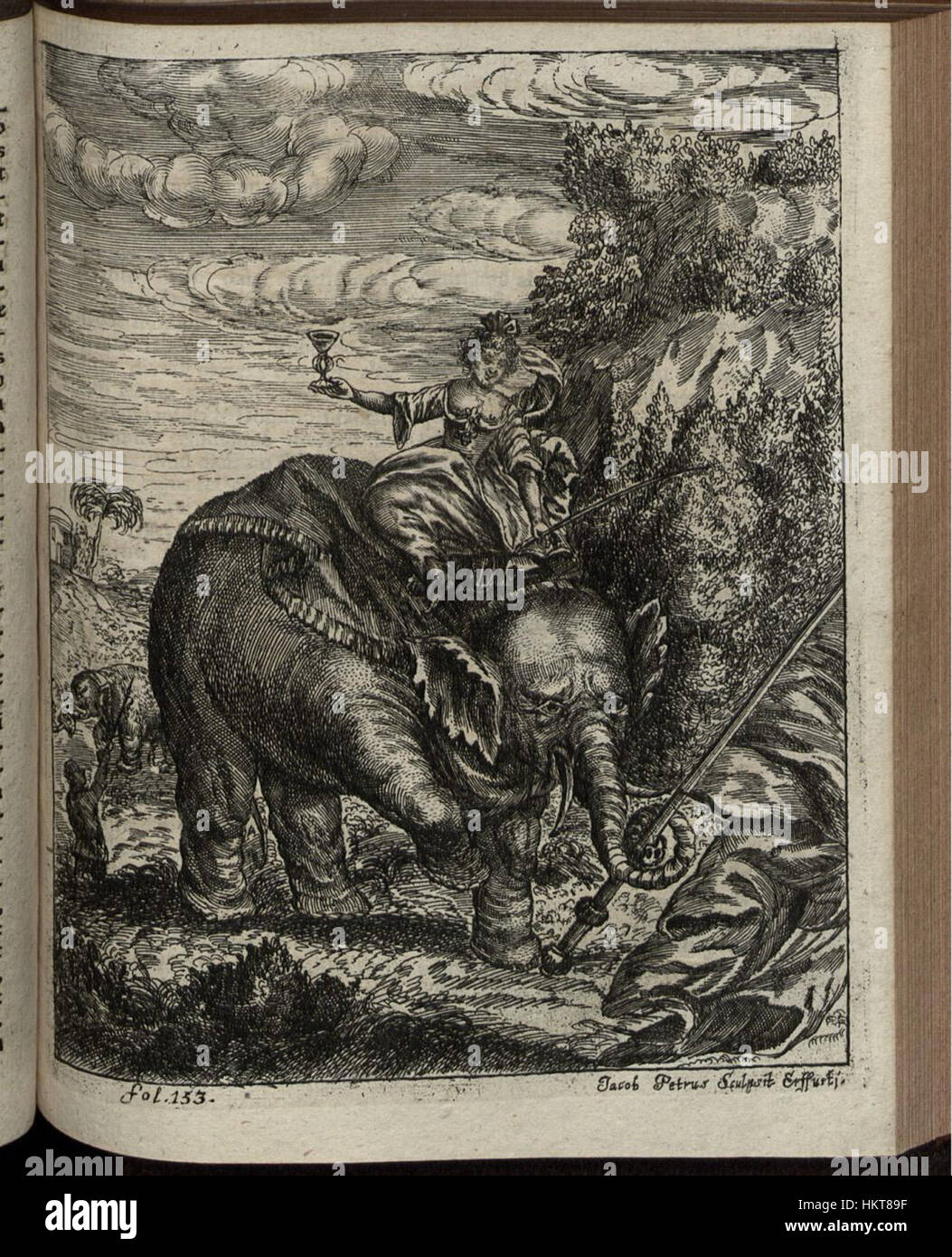 'Elephantographia Curiosa 225' is a detailed engraving of an elephant ...