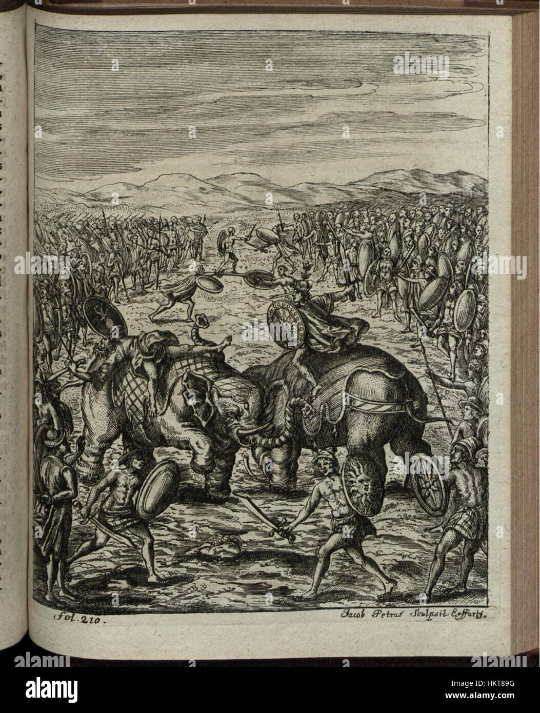 'Elephantographia Curiosa' is a historical depiction of elephants ...