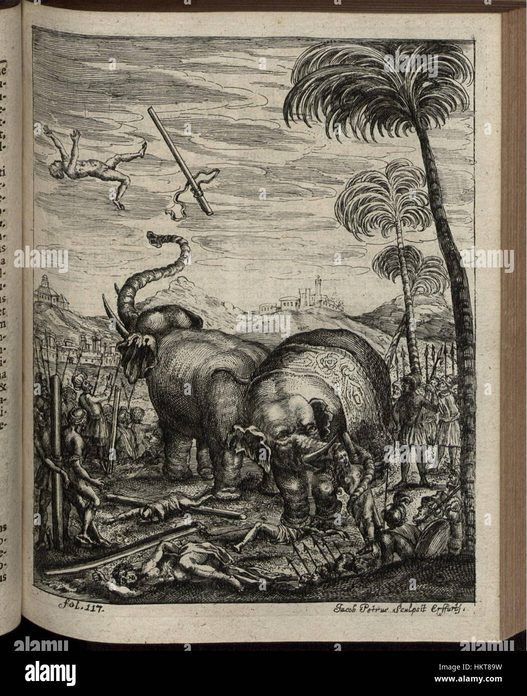 Elephantographia Curiosa 177 is a historical illustration from the 18th ...