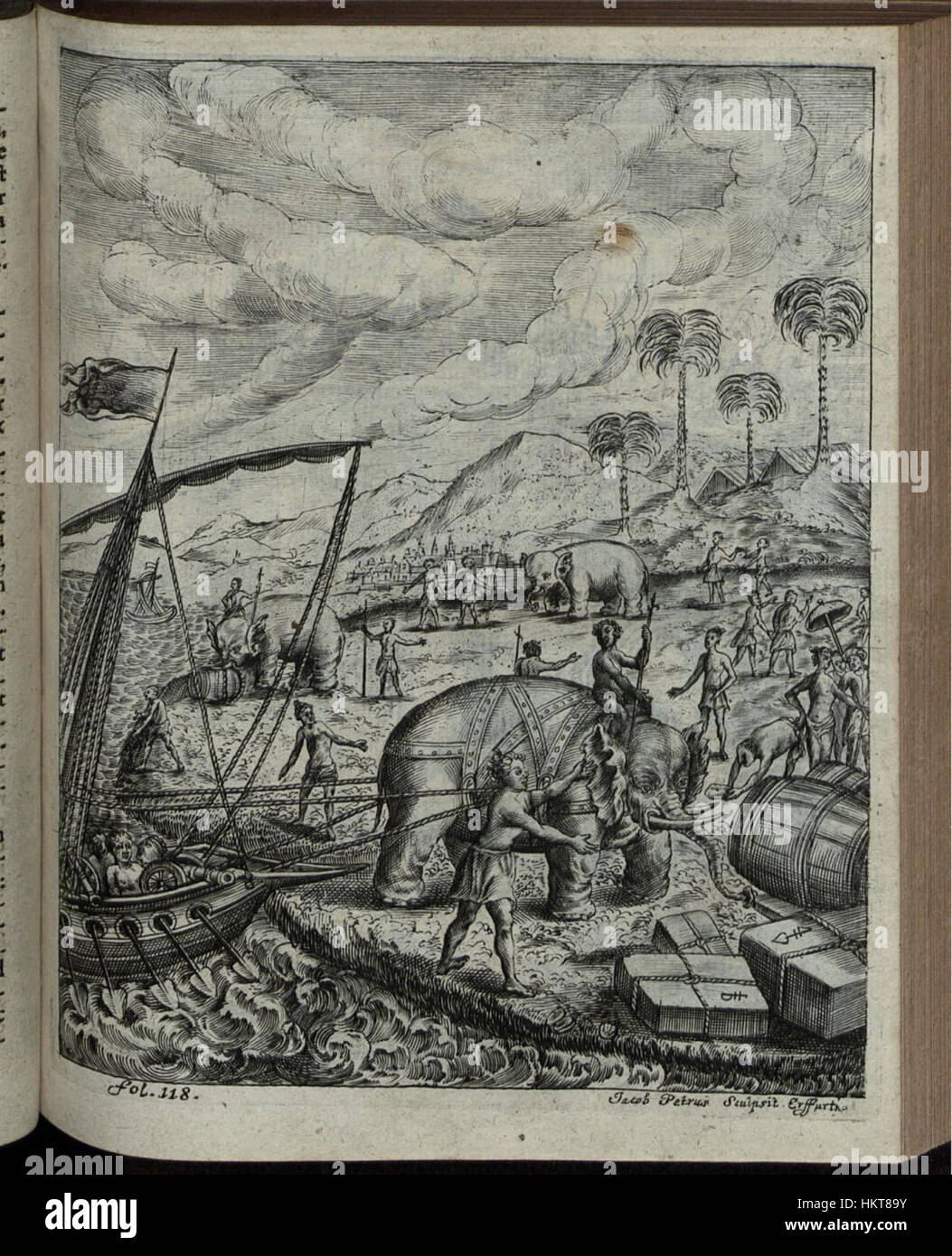 Elephantographia Curiosa, from 181, is a historical artwork featuring ...