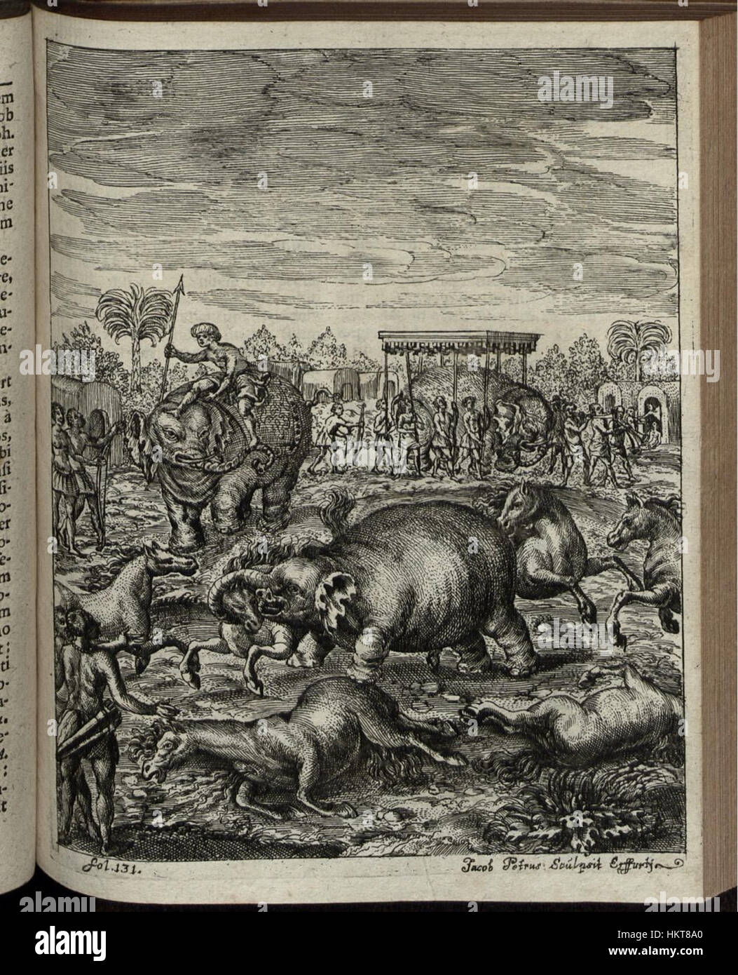 Elephantographia Curiosa is a historical work that explores the natural ...