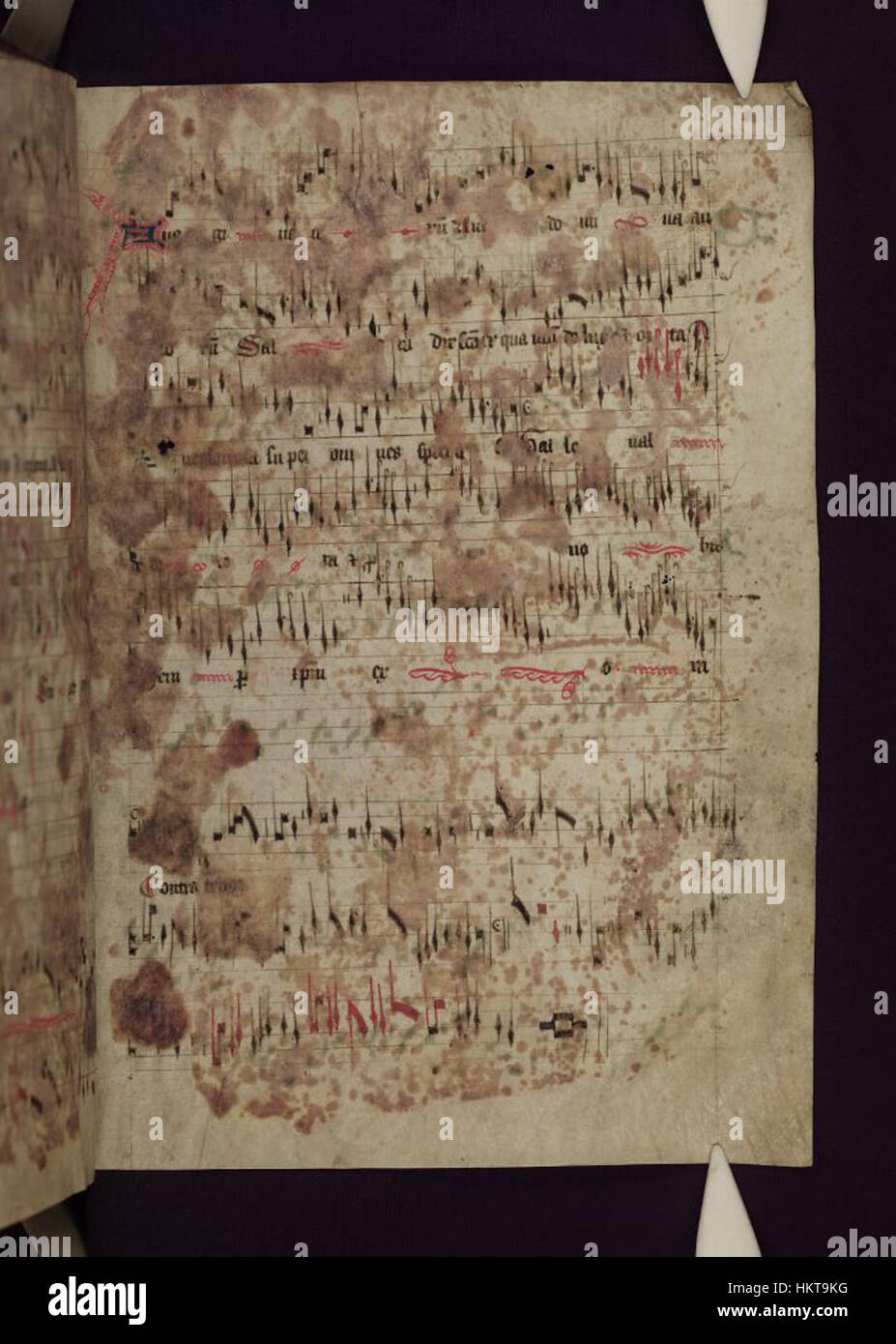 The Bodleian Libraries hold a significant collection of English ...