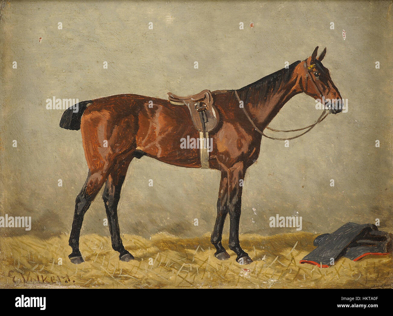 Emil Volkers' 'Pferdeportrait' captures the grace and beauty of a horse ...