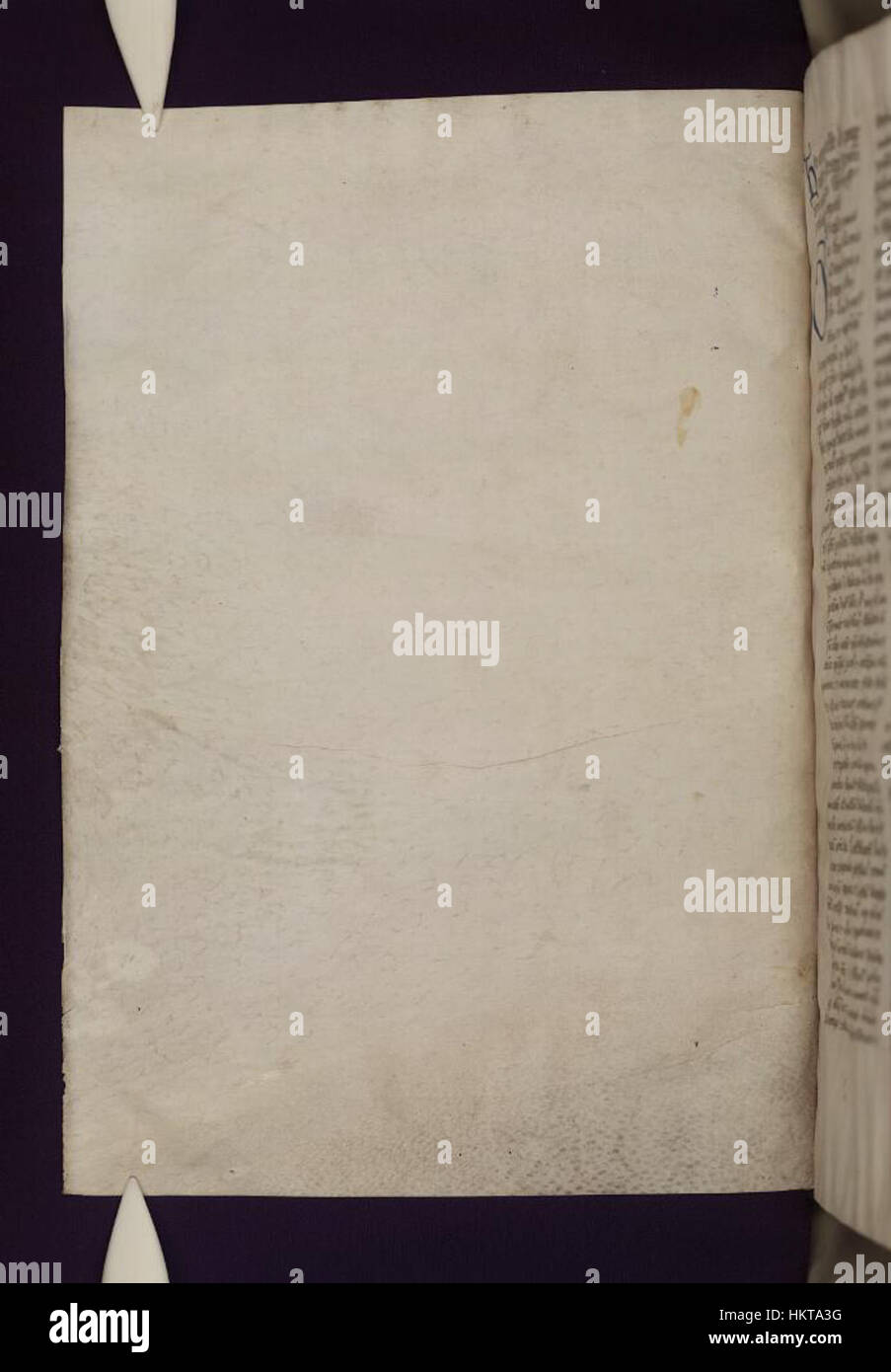 The Bodleian Libraries hold five important English manuscripts, each a ...