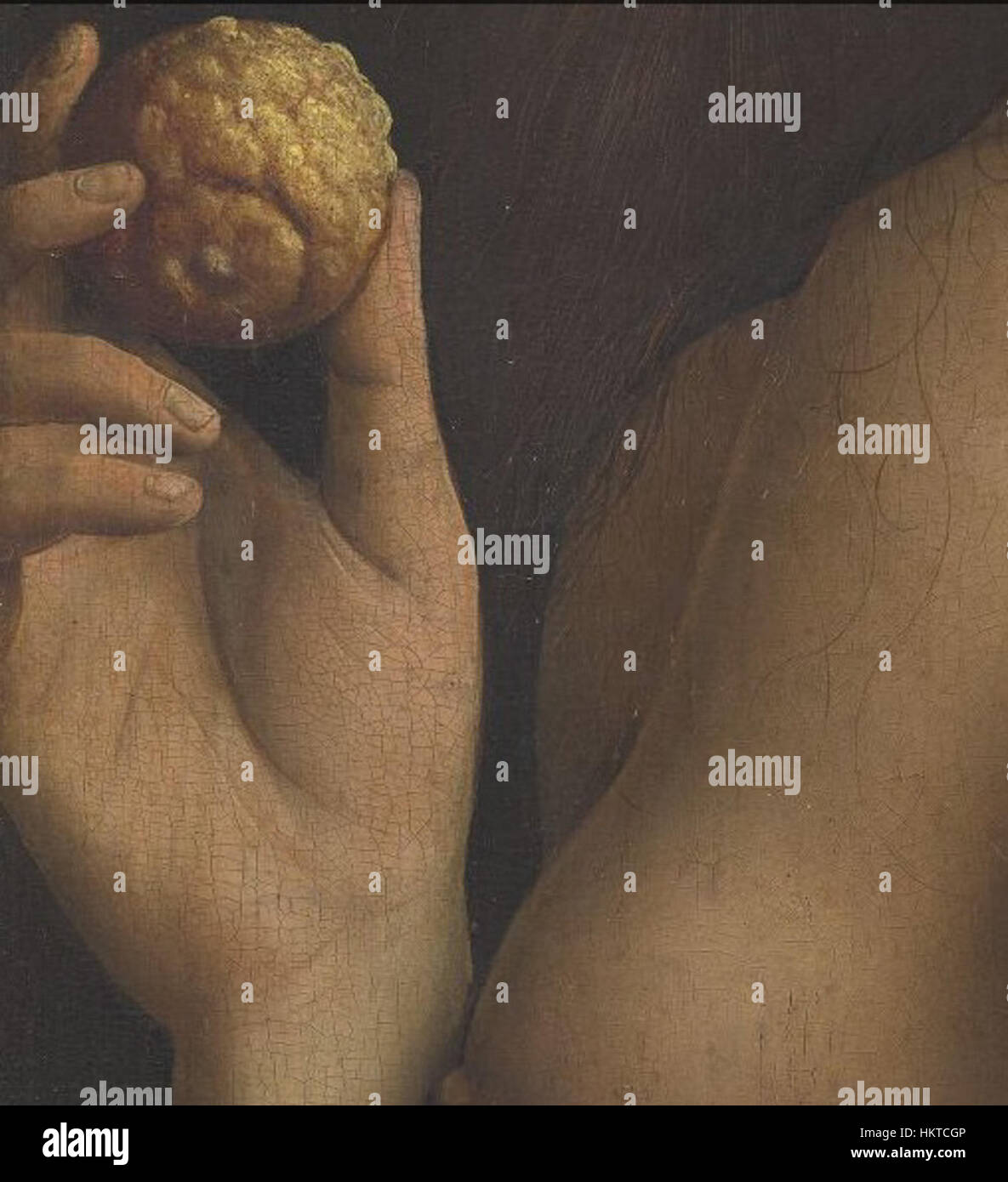 Stylized portrait showcases hi-res stock photography and images - Alamy