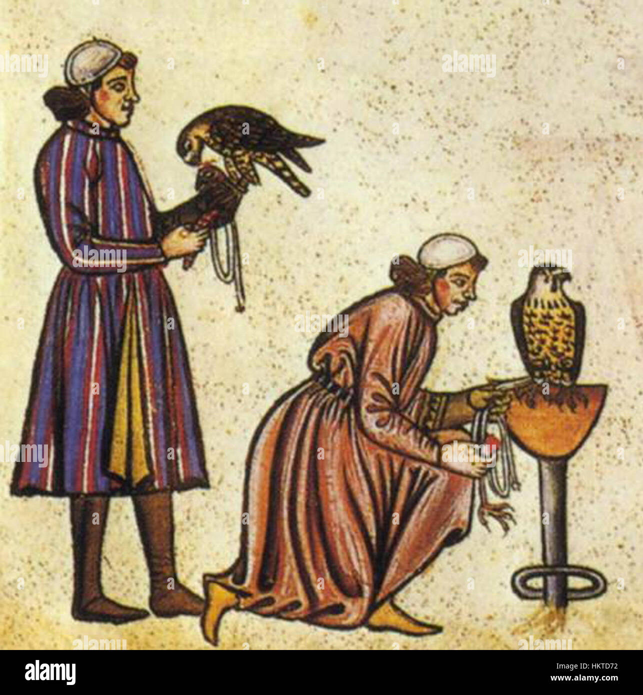 Medieval falconry hi-res stock photography and images - Alamy