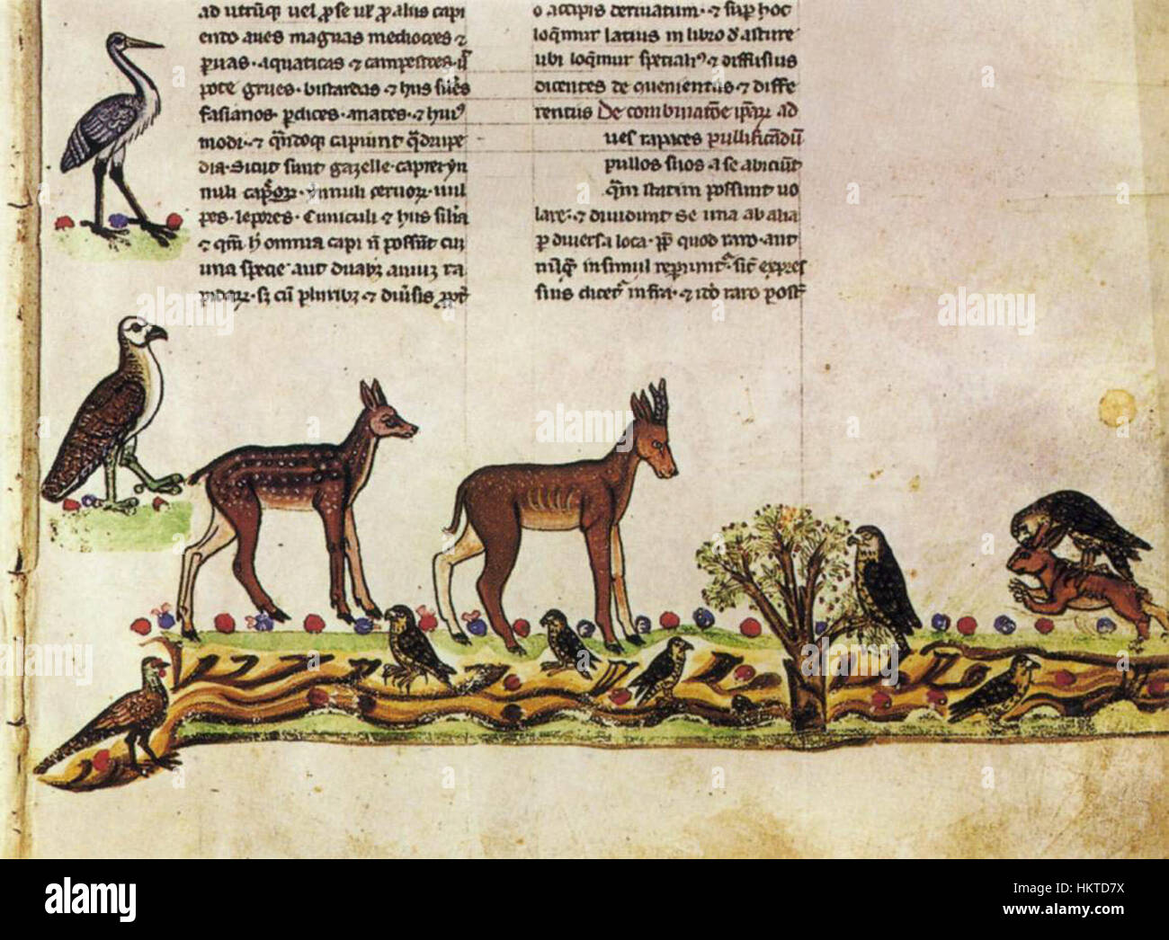 The Falconry Book of Frederick II, created in the 1240s, illustrates ...