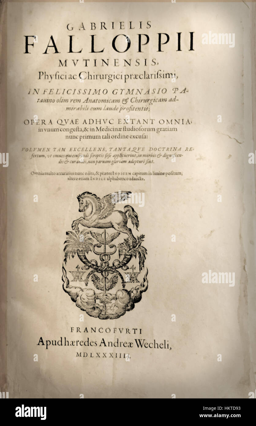 Falloppio hi-res stock photography and images - Alamy