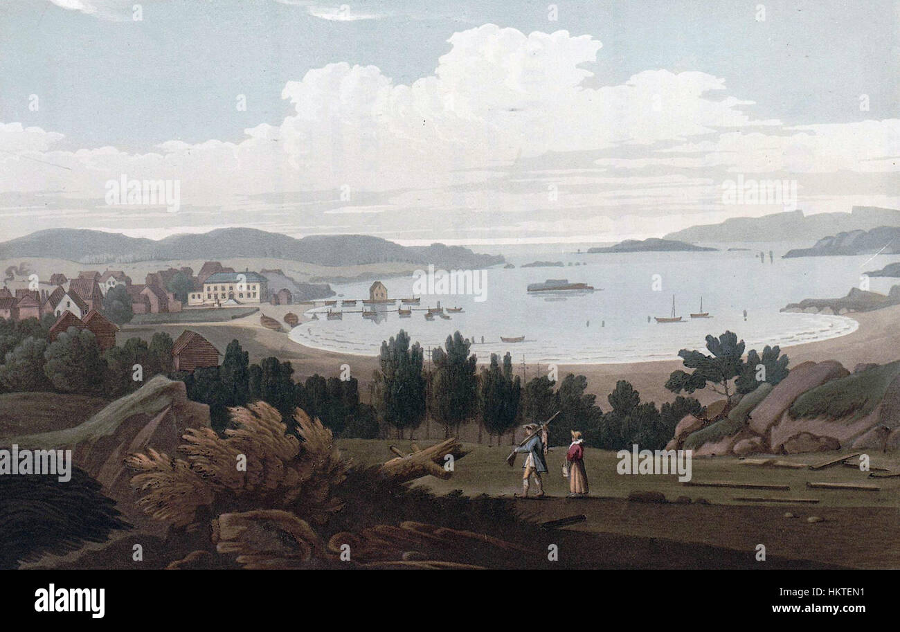 The painting 'Ferry at Helgeraae,' Plate 40 by JW Edy, depicts a ...