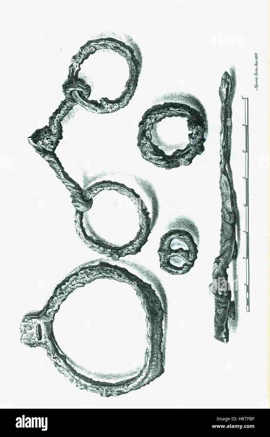 Vereb High Resolution Stock Photography and Images - Alamy